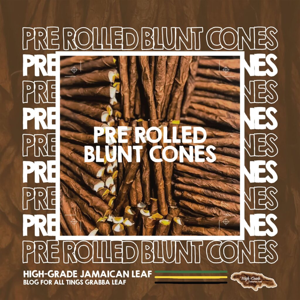 Pre Rolled Blunt Cones | Grabba Leaf Plug