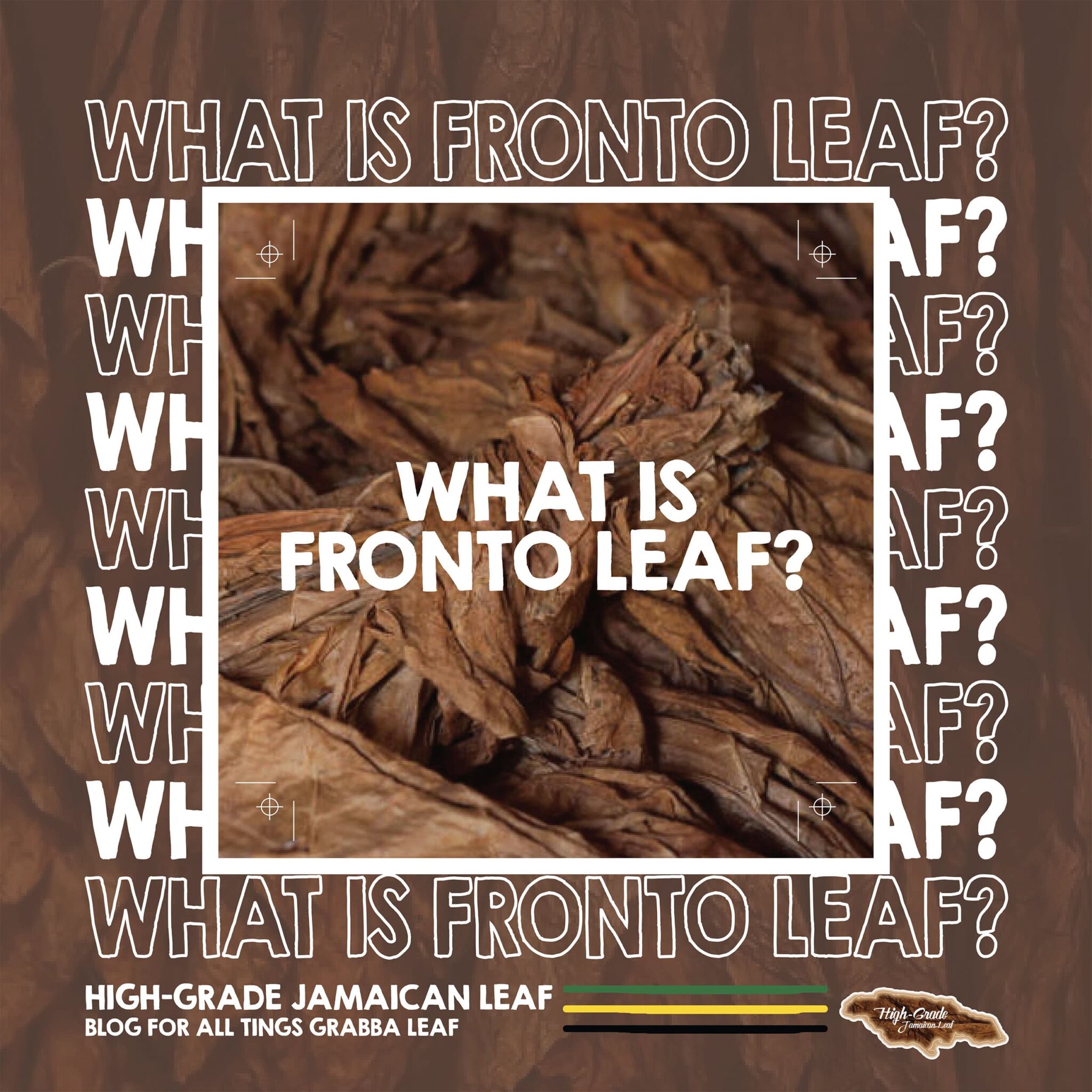 Fronto Leaf | Blog For All Things Grabba Leaf