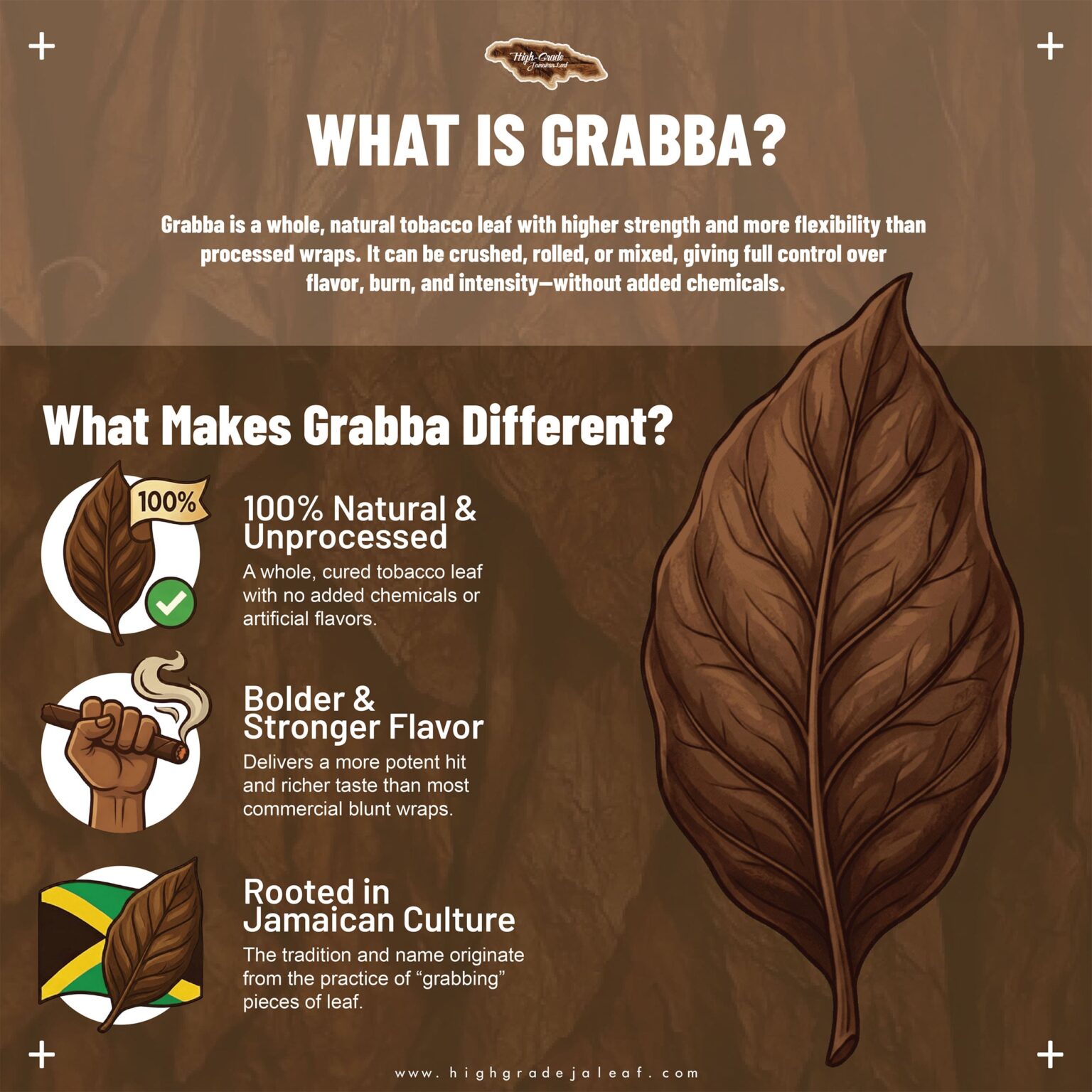 What Is Grabba? | Grabba Leaf Plug