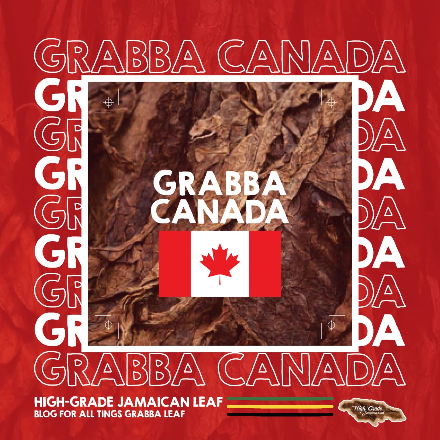 Grabba Canada | Blog For All Things Grabba Leaf